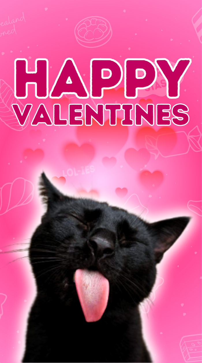 Valentines Cat - Pick Up Line Lolly Bag | Pik n Mix Lollies NZ